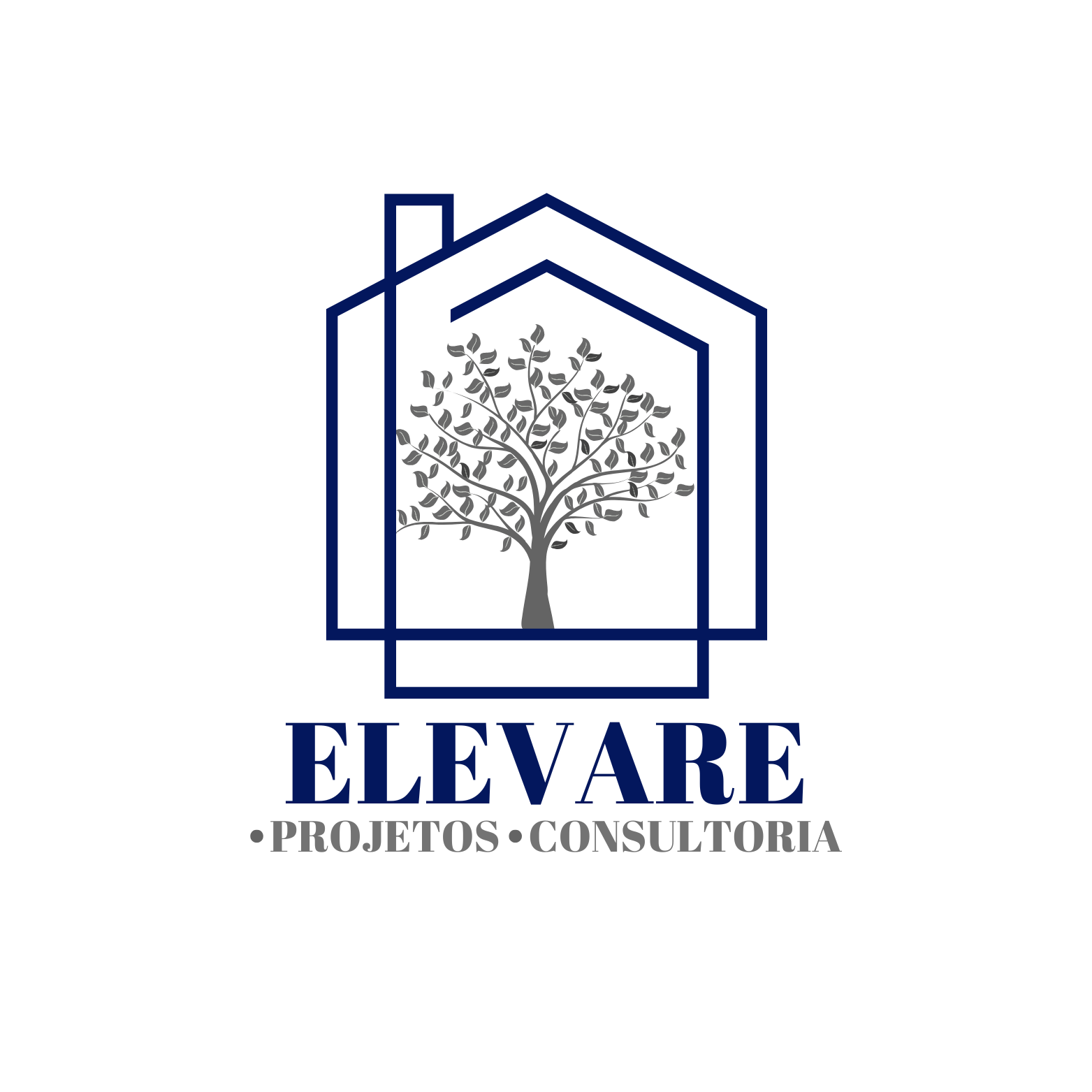 Elevare Projetos e Consultoria – My WordPress Blog